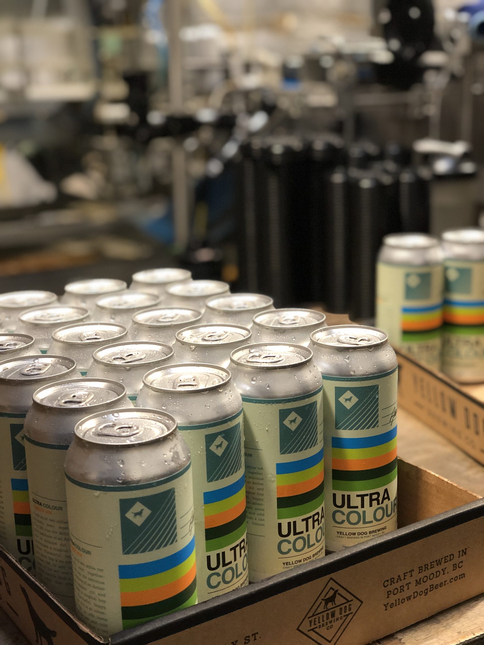 Our Latest January Release - Yellow Dog Brewing : Yellow Dog Brewing