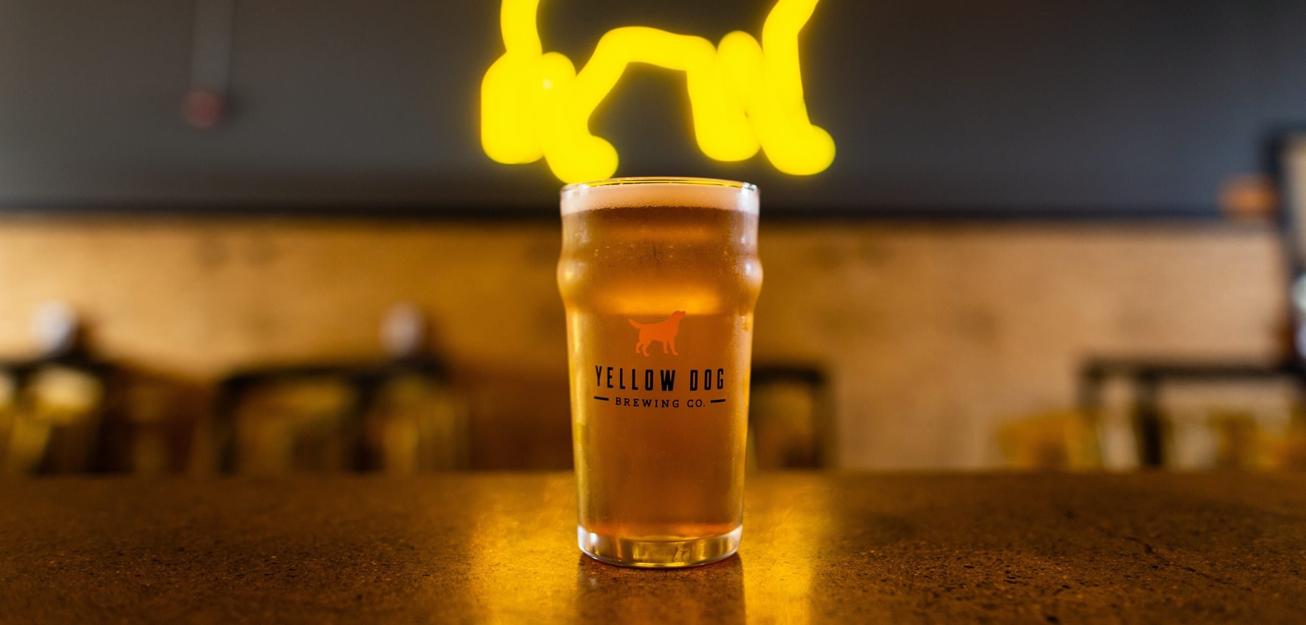 We're Back! - Yellow Dog Brewing : Yellow Dog Brewing