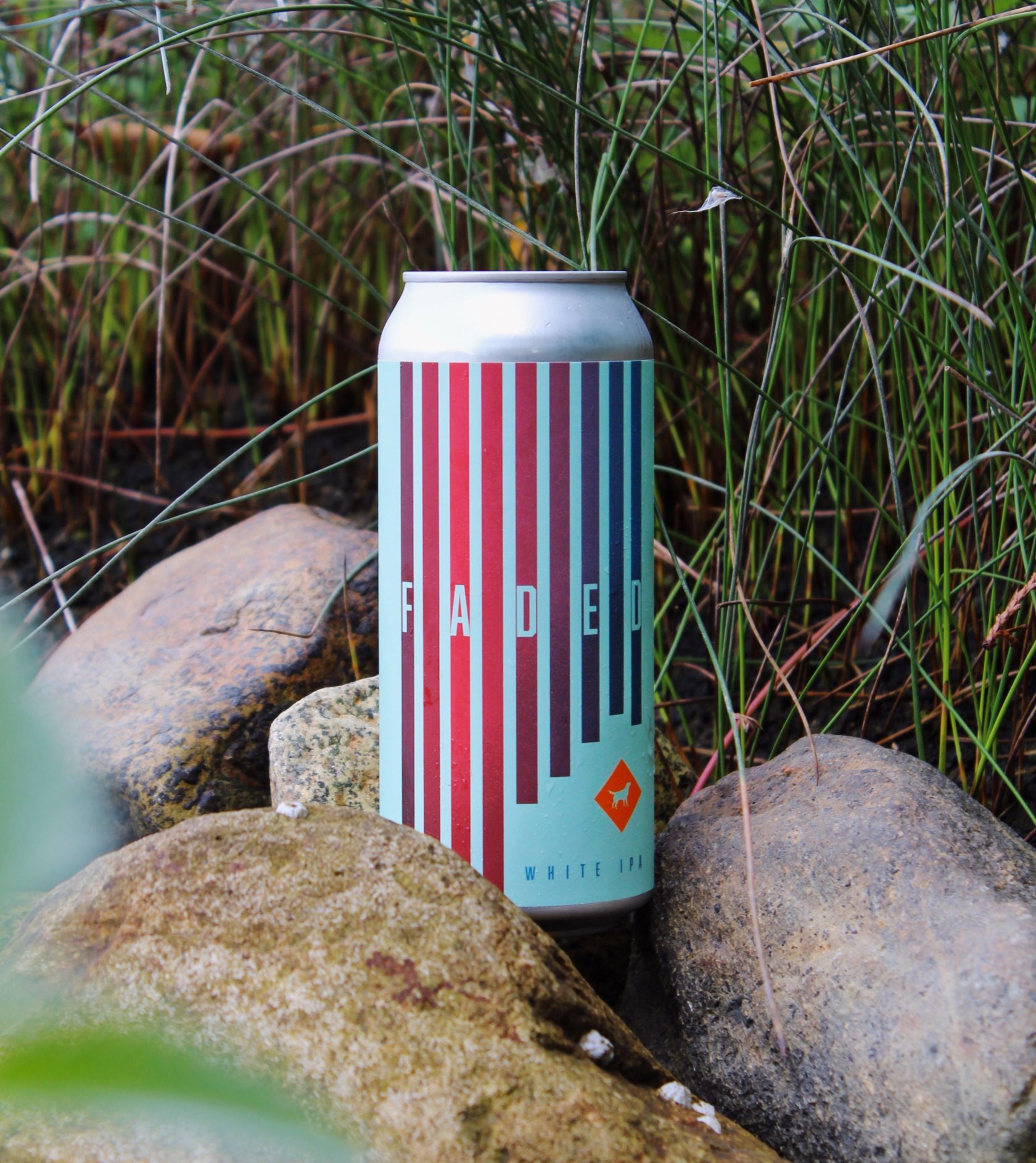 Our June Releases - Yellow Dog Brewing : Yellow Dog Brewing